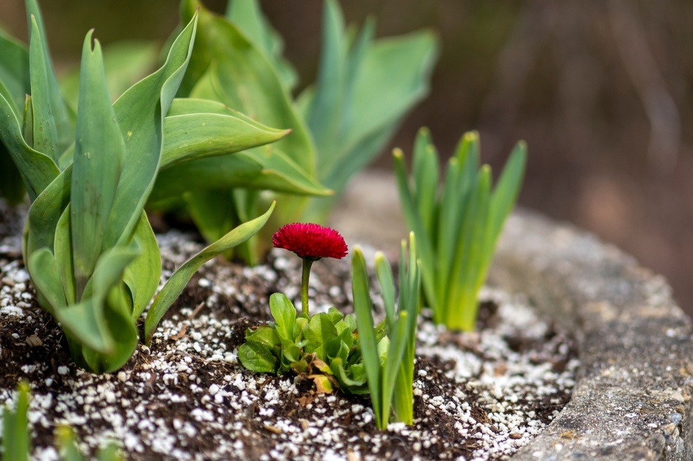 15 early spring gardening tasks - Lacoste Garden Centre webshop | Winnipeg