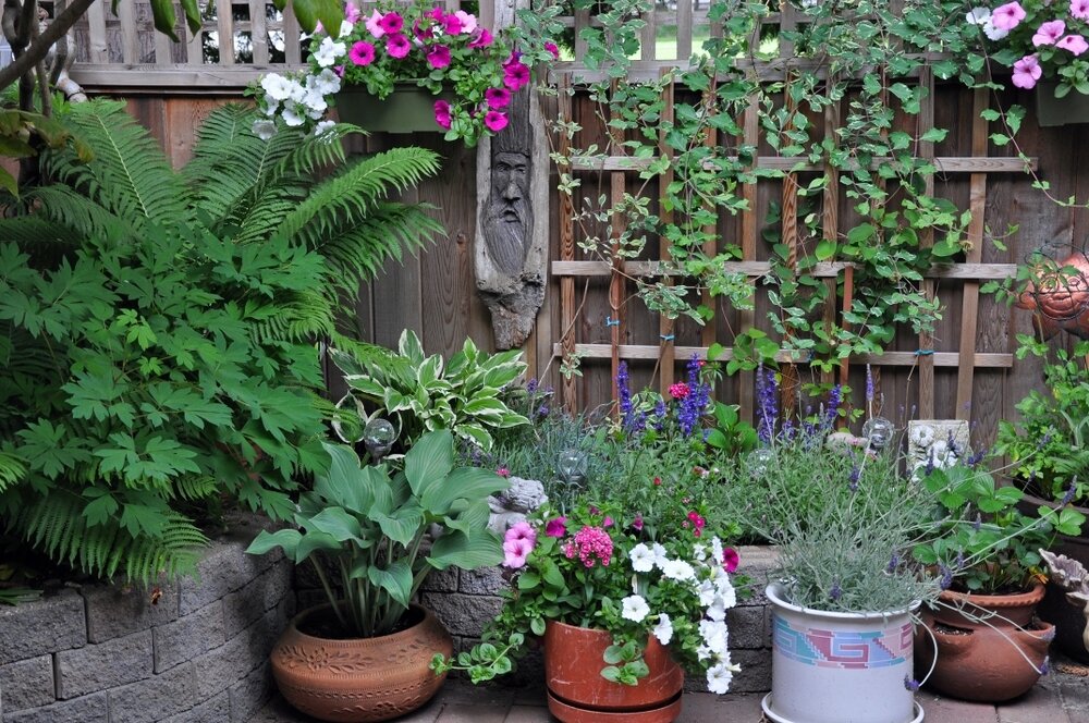 Colourful Shade Pot Garden Ideas - Lacoste Garden Centre webshop | Winnipeg